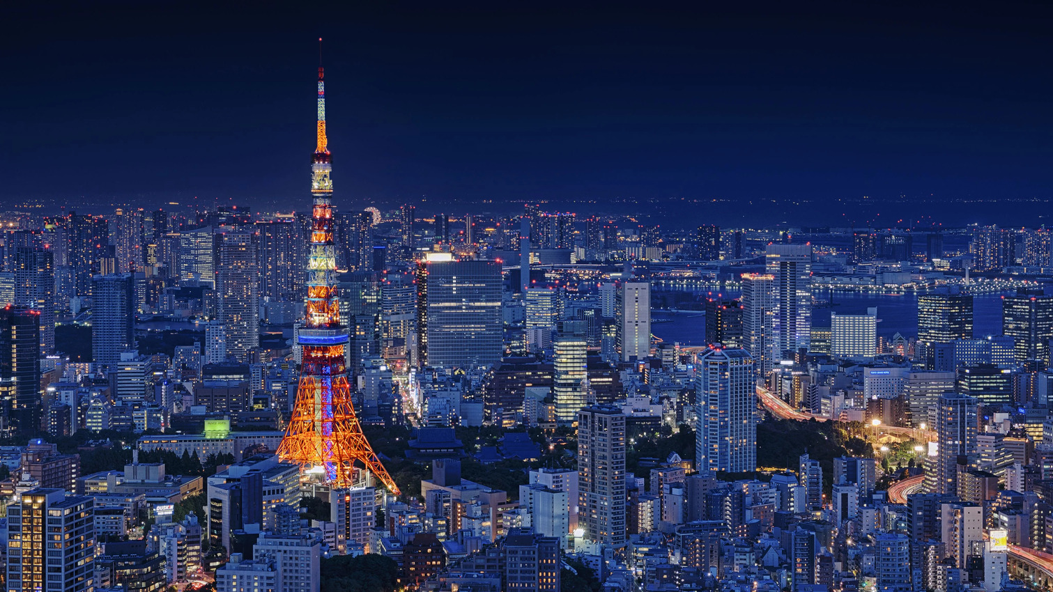 Tour de Tokyo 東京タワー - Gogaku